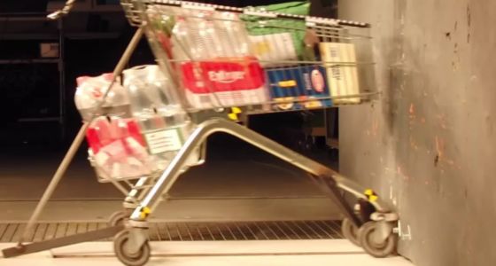 Research shopping cart injuries Design a new cart to withstand impact ...
