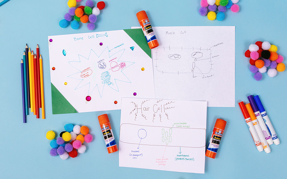 Cells - Mosa Mack Science