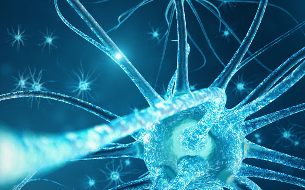 Nervous System - Mosa Mack Science